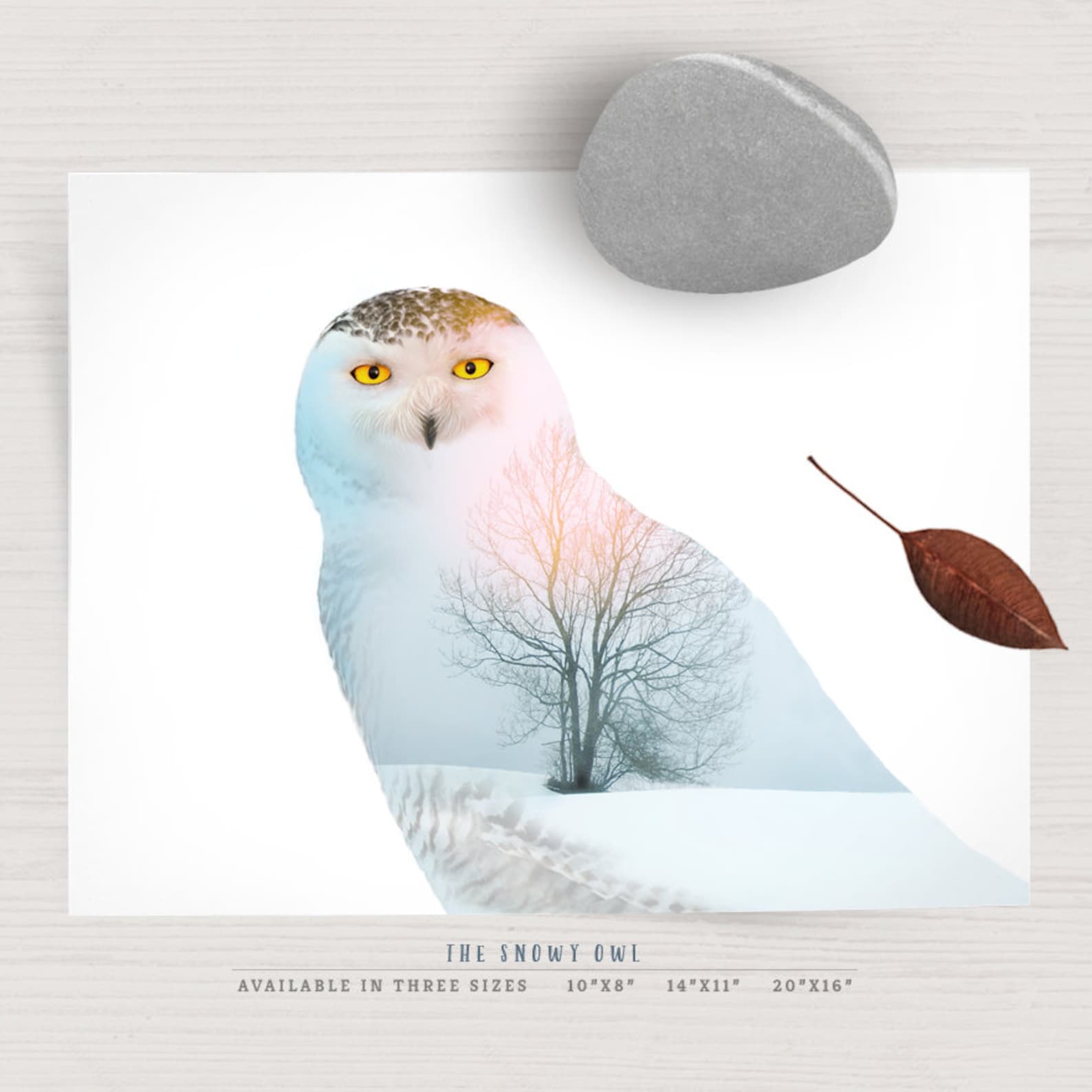 The Snowy Owl Print Owl Print Bird Wall Art Animal Prints - Etsy