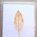 Single Leaf Letterpress Card Set - Etsy