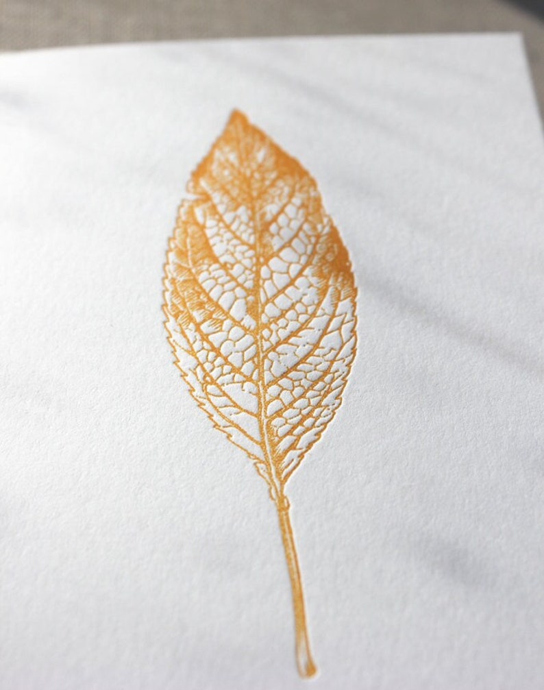 Single Leaf Letterpress Card Set - Etsy