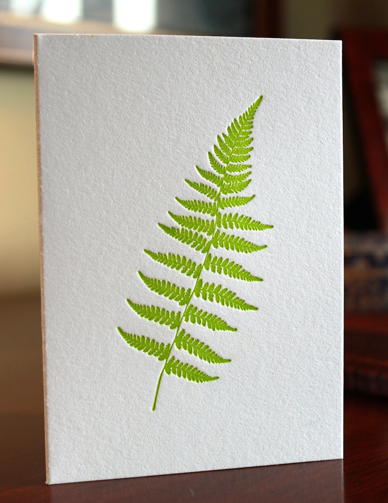 Fern Letterpress Card Set | Etsy
