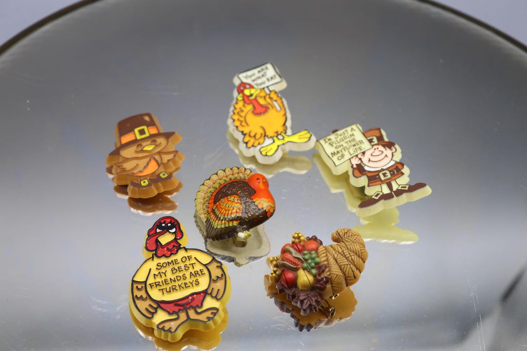 Lot of 7 Vintage Hallmark Thanksgiving Pins - Plastic Pins - Etsy