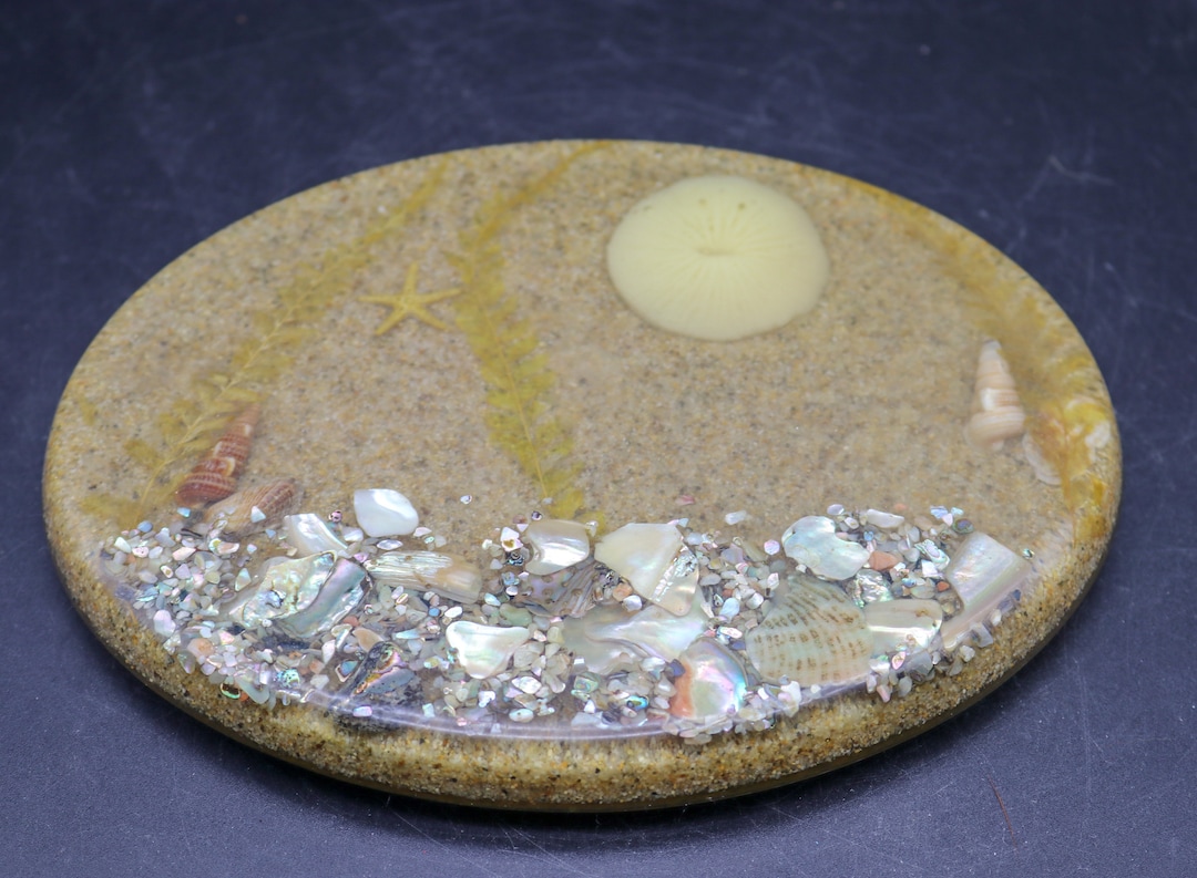Vintage Lucite Acrylic Trivet Beach Theme - Dated 1974 - Abalone - Sea ...