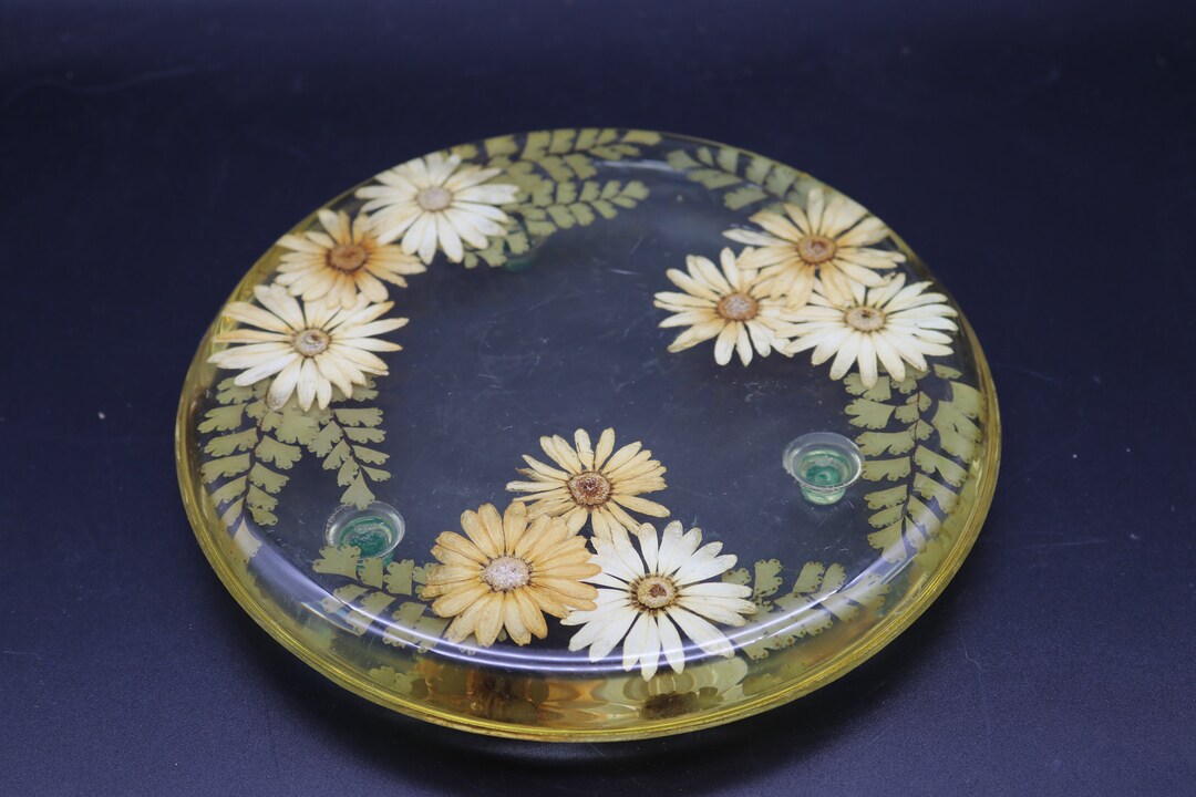 Vintage Lucite Acrylic Trivet With Inlaid Daisy & Fern 1960s/70s - Etsy