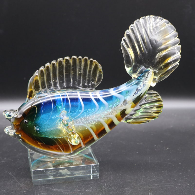 Fish Eye Sea Glass - Etsy