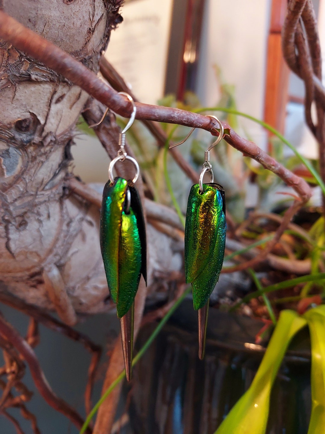 Light Weight Beetle Wing Earrings, Spring Ear Rings, Fae, Faerie ...