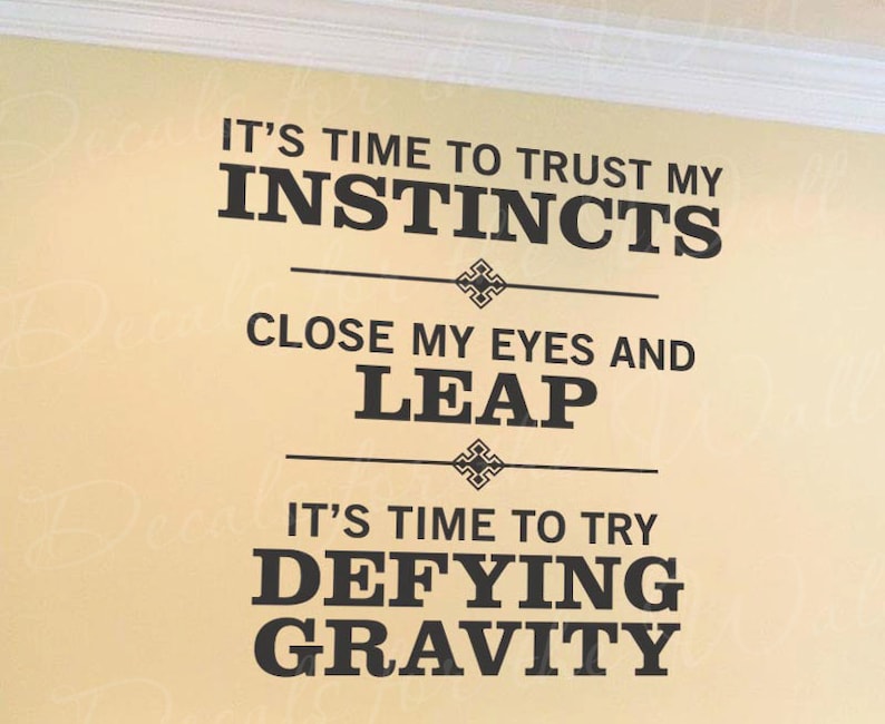 Try Defying Gravity Wicked Vinyl Wall Decal Art Decor Quote Sticker ...