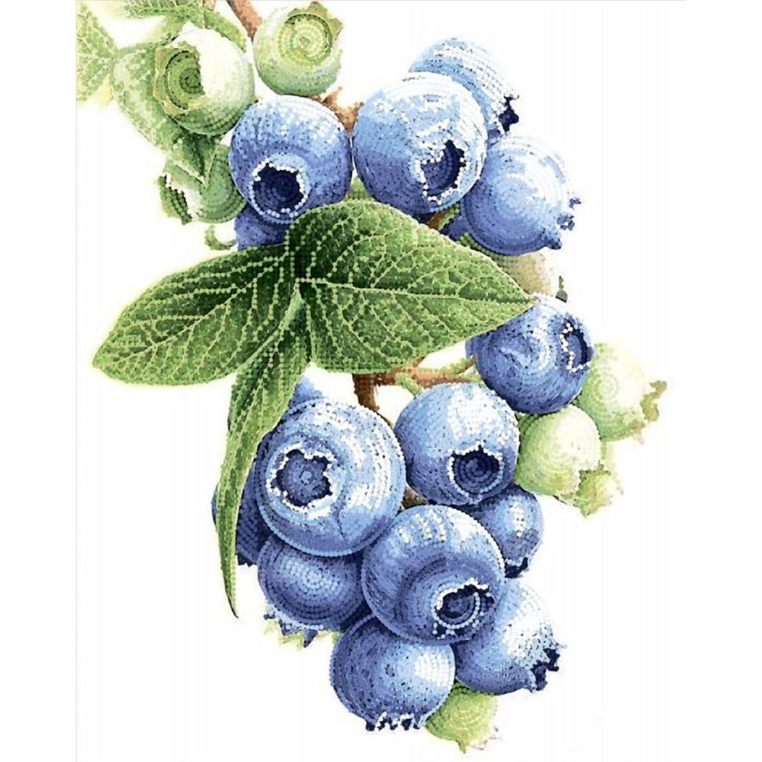 Bead Embroidery Kit Blueberries DIY Embroidery Kit Needlework Beadwork ...