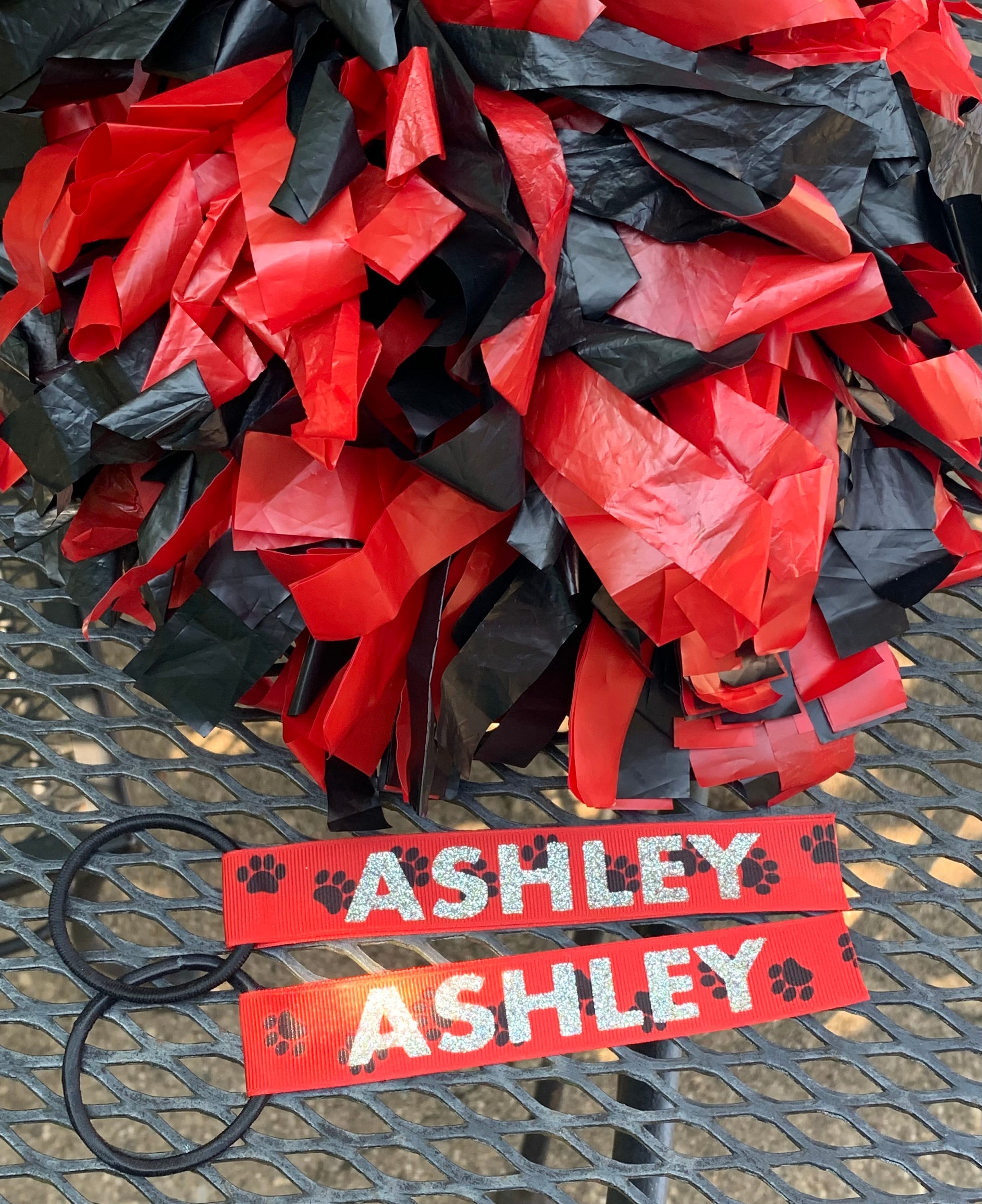 Pom Pom Name Tags – Custom Cheer Team Gift, Set of Two - Etsy