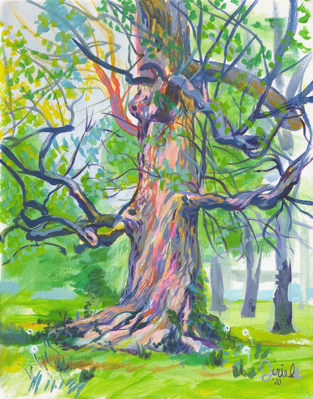 Colorful Ash Tree, Henry Clay Estate, Kentucky, "blue Ash", Digital ...