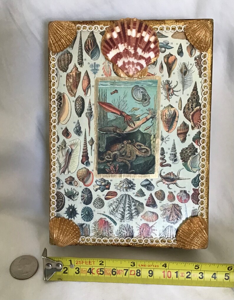 Vintage Florentine Box With Botanical Shell Image and Real Shells - Etsy