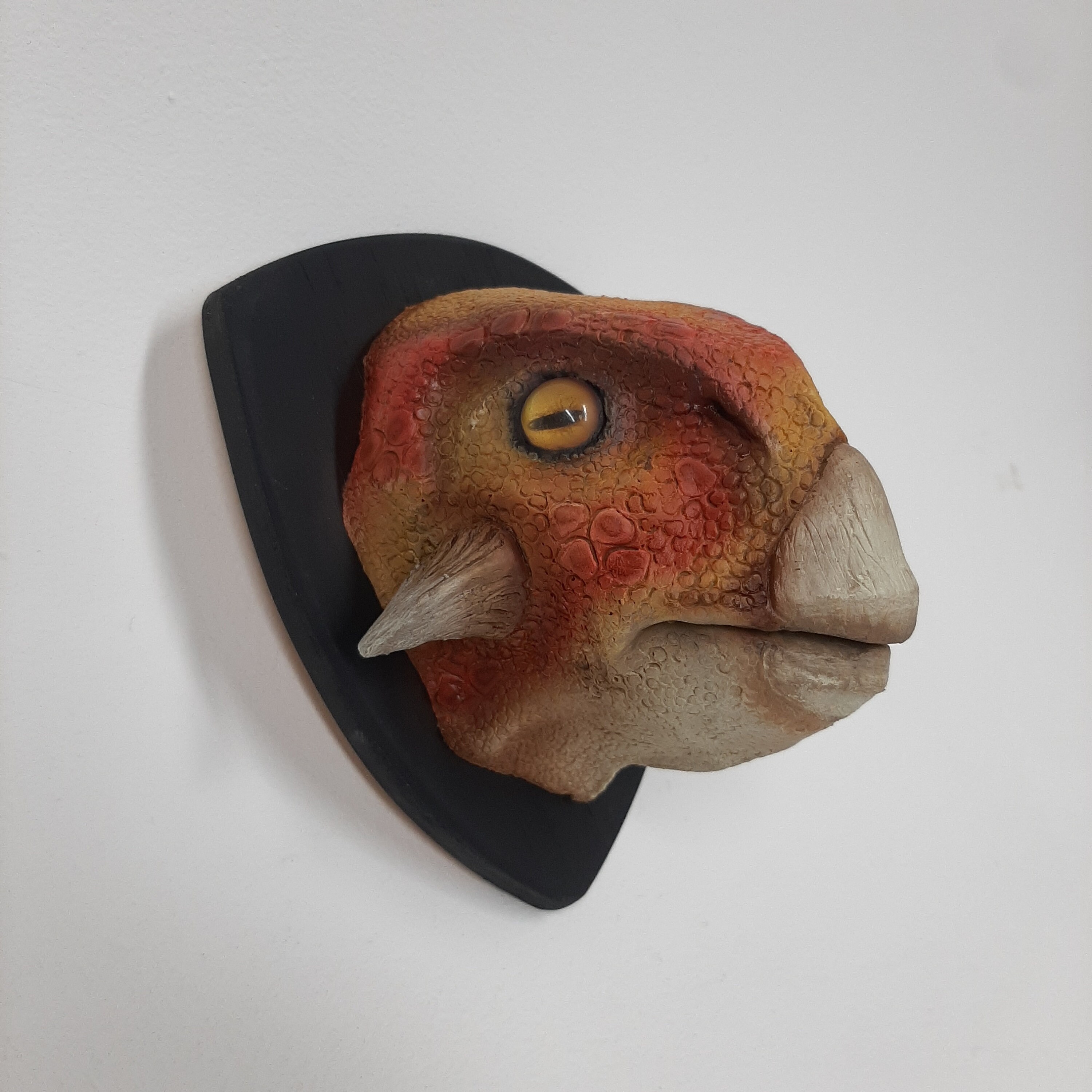 Psittacosaurus 1 to 1 Scale Dinosaur Mount Red Phase - Etsy