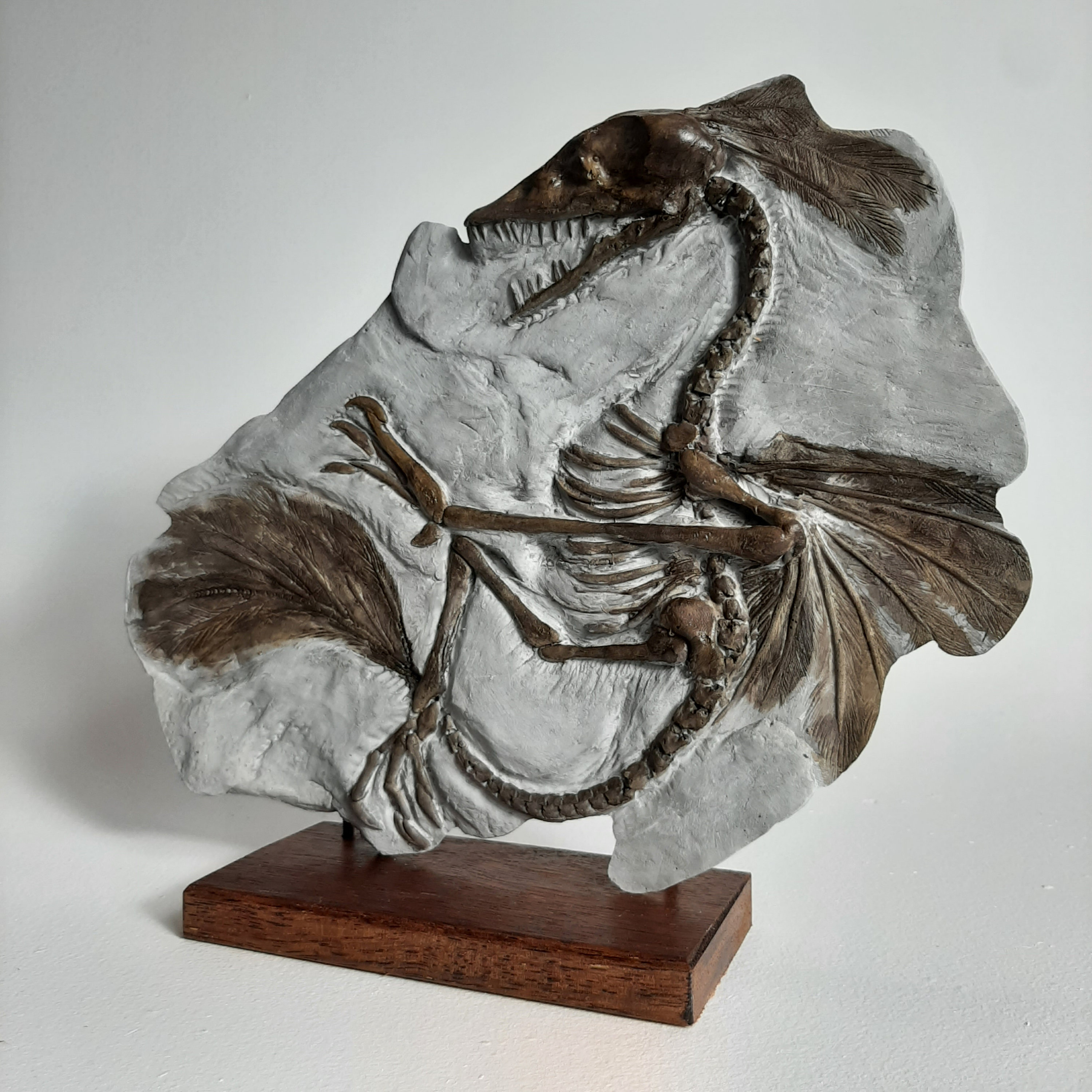 ARCHAEOPTERYX (distant Cousin) FOSSIL Replica / Sculpture. - Etsy