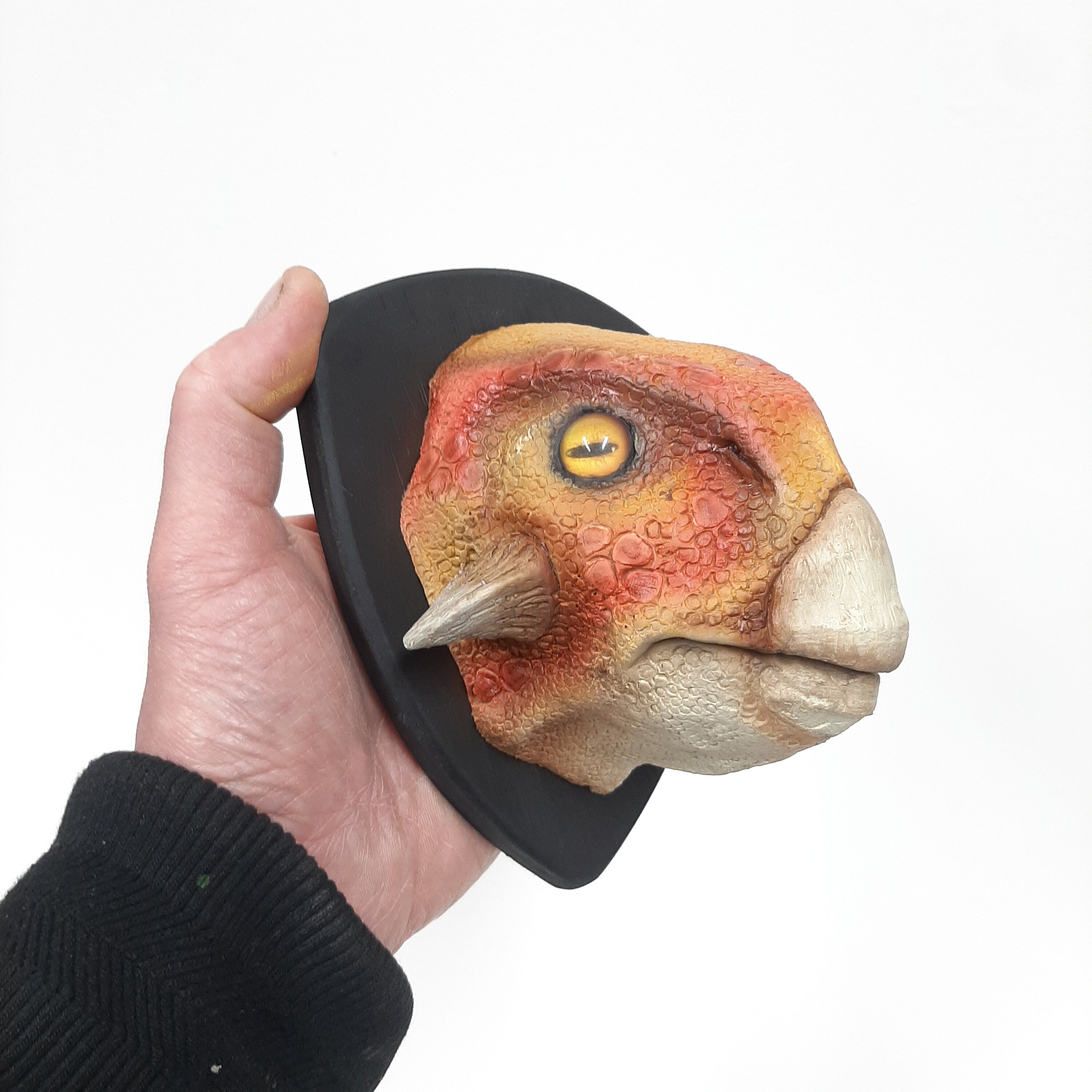 Psittacosaurus 1 to 1 Scale Dinosaur Mount Red Phase - Etsy