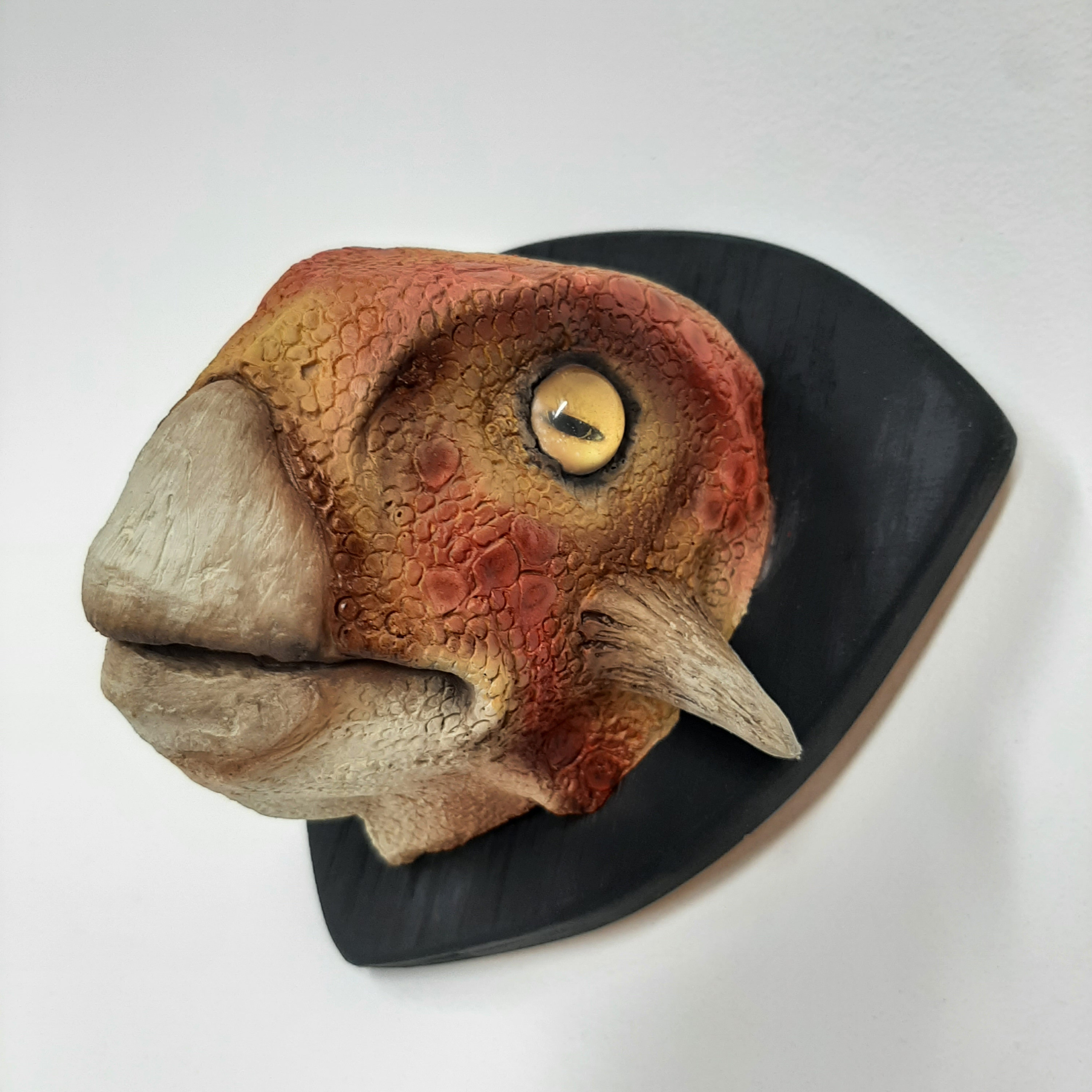 Psittacosaurus 1 to 1 Scale Dinosaur Mount Red Phase - Etsy