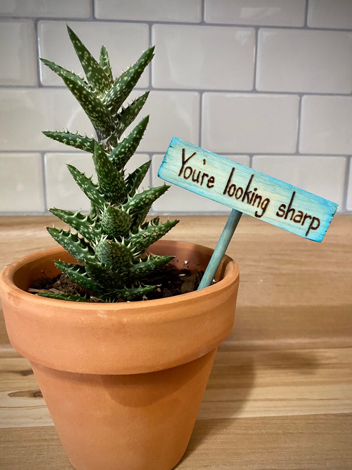 Wooden Plant Signs | Etsy