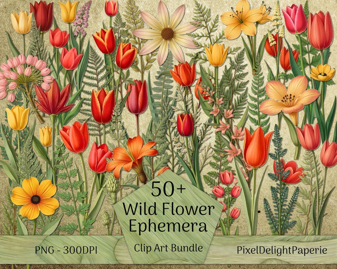 Ephemera Botanical Flowers Clip Art Bundle - Illustrations Digital ...