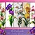 Australia Printable Bookmark Set - Jpg Pdf Digital Collage Kit - Gift ...
