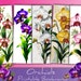 Australia Printable Bookmark Set - Jpg Pdf Digital Collage Kit - Gift ...
