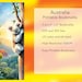 Australia Printable Bookmark Set Jpg Pdf Digital Collage Kit Gift for ...
