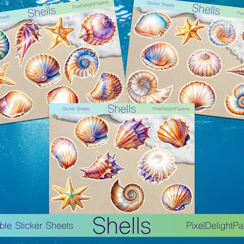 Decoupage Conch Shells - Etsy