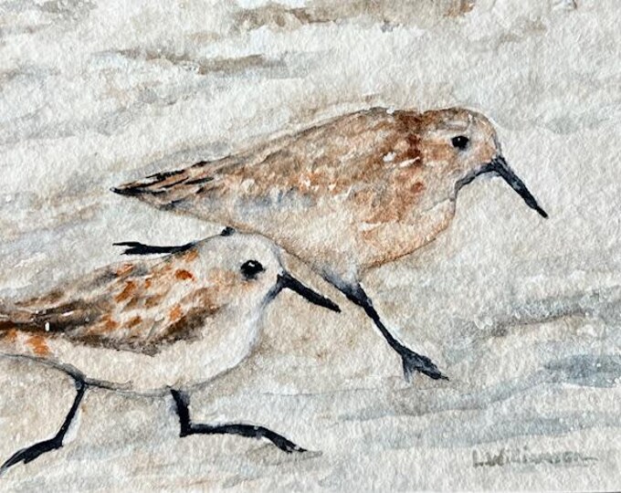 Original Watercolor Sandpiper Birds Painting 5x7, Gallery Wall, Wall ...
