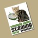 Someone Keeps Stealing My Poop 8x10 Cat Lover Digital Download Print - Etsy