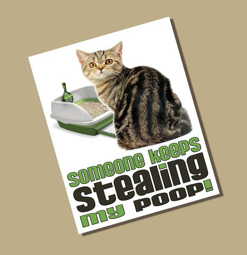 Someone Keeps Stealing My Poop 8x10 Cat Lover Digital Download Print - Etsy
