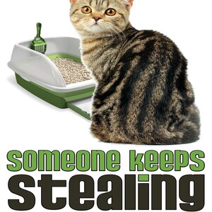 Someone Keeps Stealing My Poop 8x10 Cat Lover Digital Download Print - Etsy
