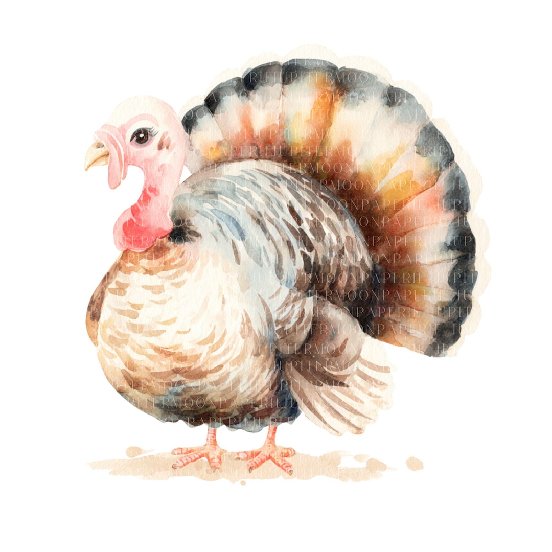 8 Watercolor Turkey Clipart Set: Fall Harvest PNG (digital Download) - Etsy