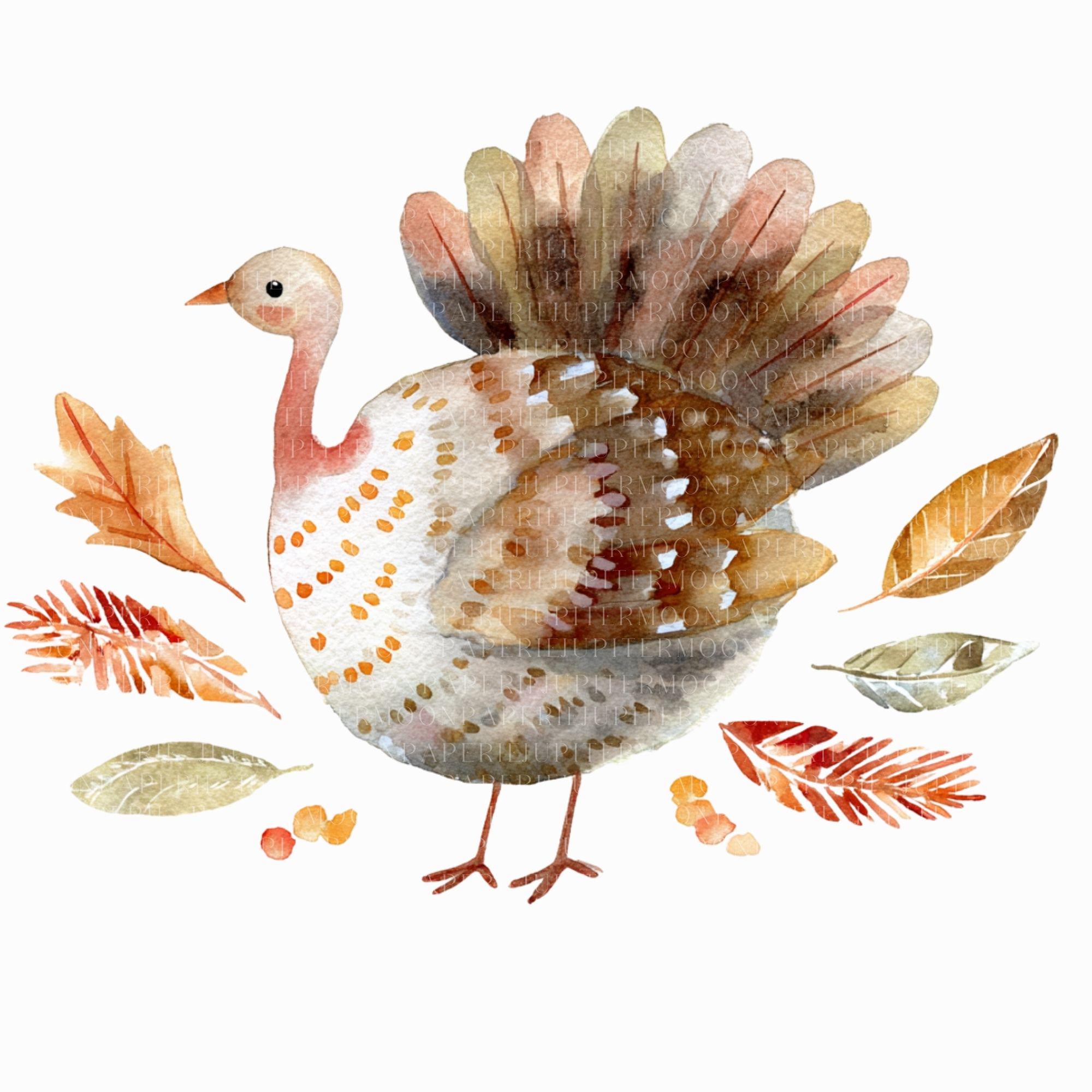 8 Watercolor Turkey Clipart Set: Fall Harvest PNG (digital Download) - Etsy