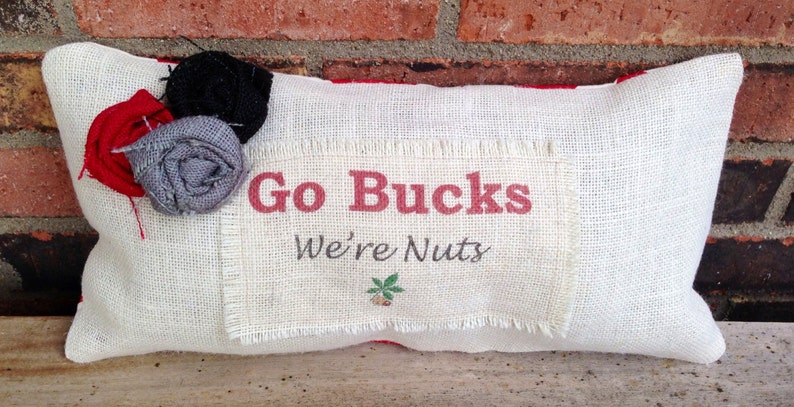 Ohio State Buckeyes We're Nuts Pillow - Etsy