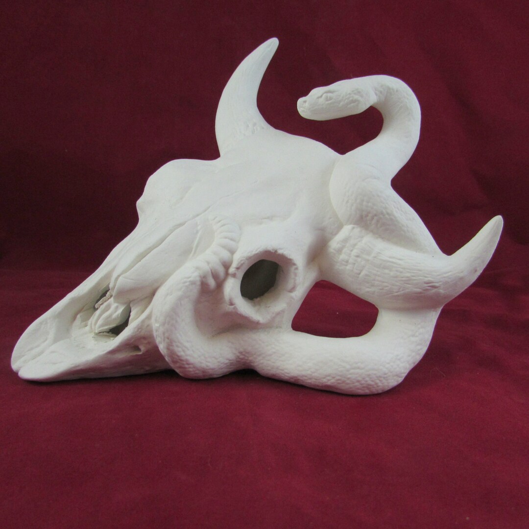 Ready to Paint Cow Skull With Snake- 6.5 Inches, Decor - Etsy