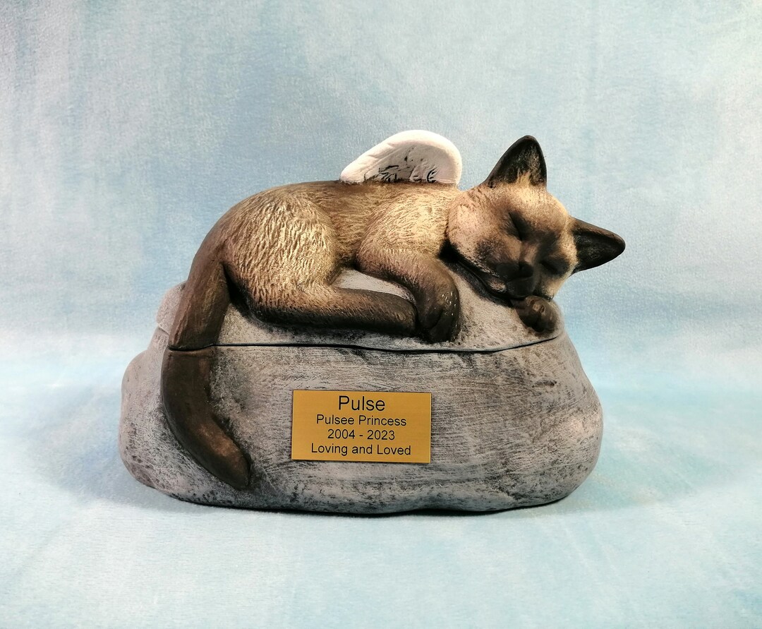 Ceramic Engraved Custom Painted Short Haired Siamese Cat Cremation Urn ...