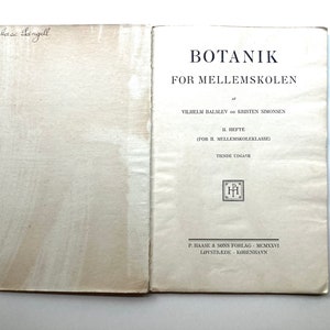 Antique Illustrated Danish Botany Book for Middle School Botanik for ...