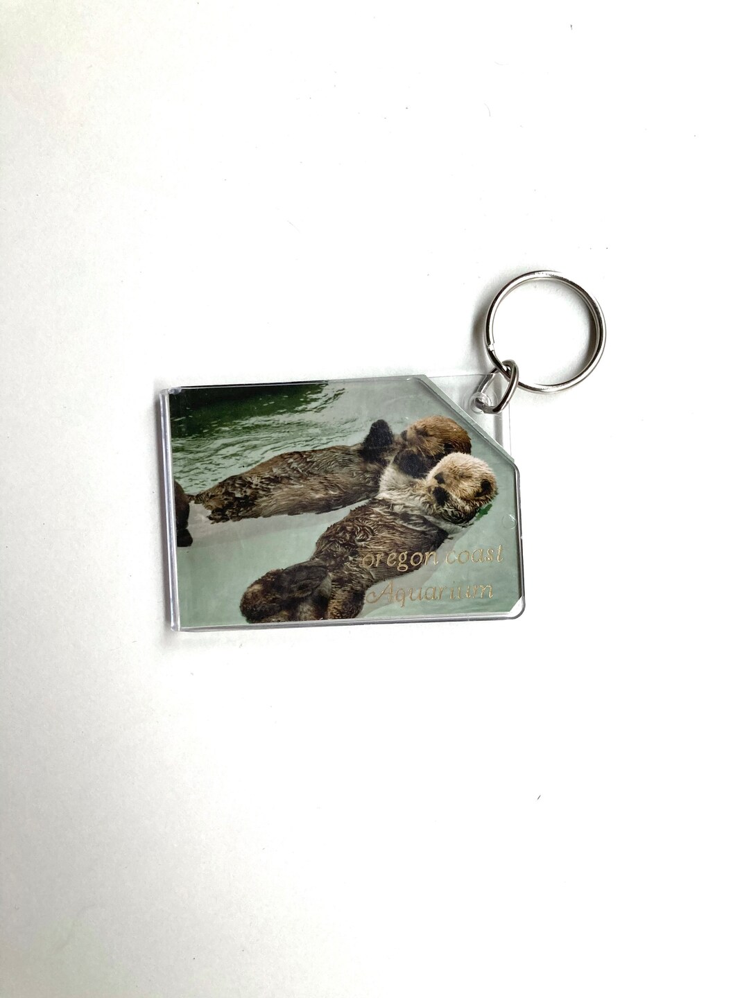 Vintage Oregon Coast Aquarium Keychain With Sea Lions - Etsy