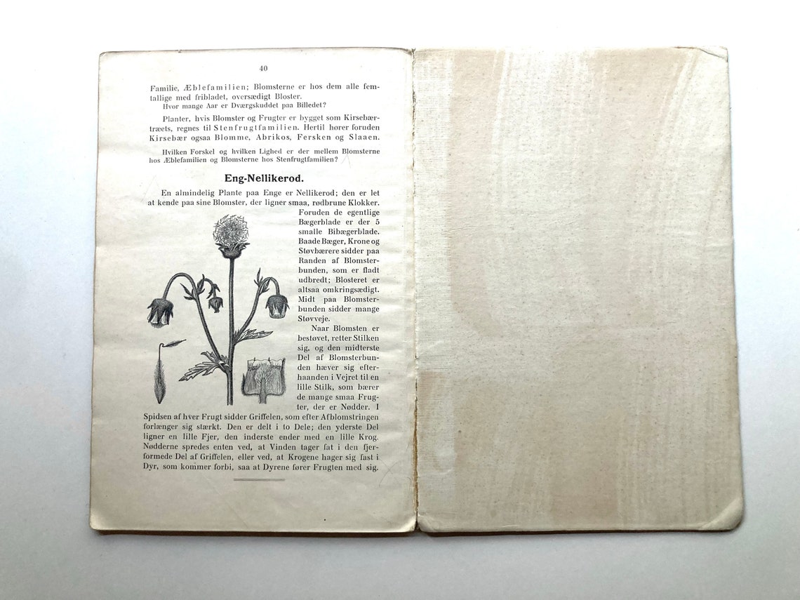 Antique Illustrated Danish Botany Book for Middle School Botanik for ...