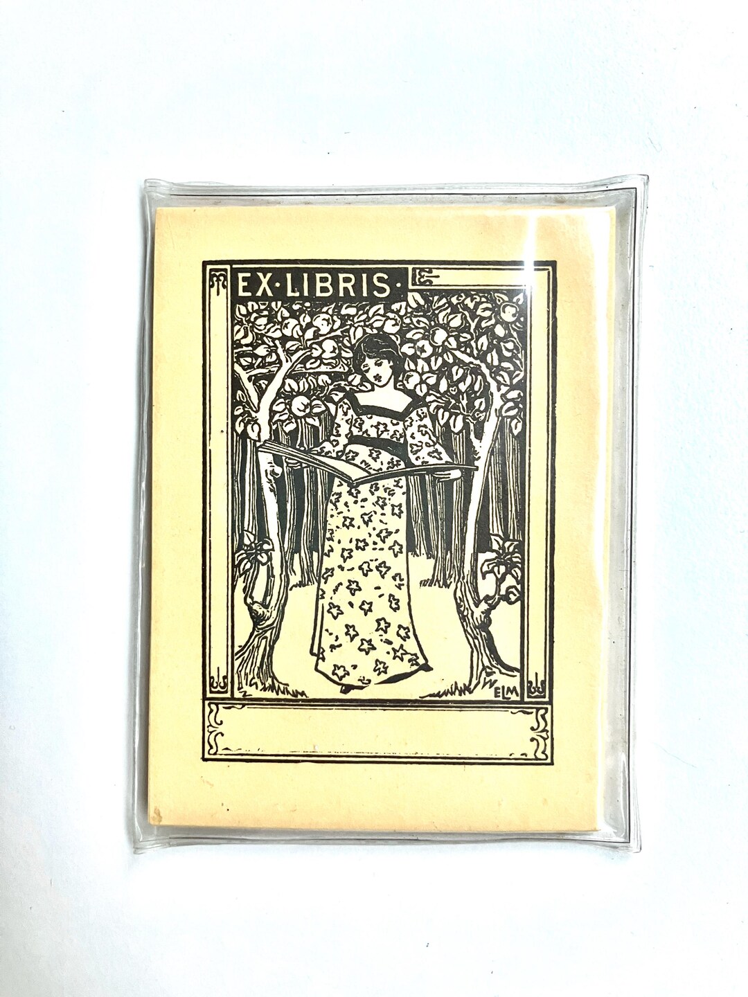 Vintage Woman Reading in a Forest Bookplate Personal Library Labels by ...