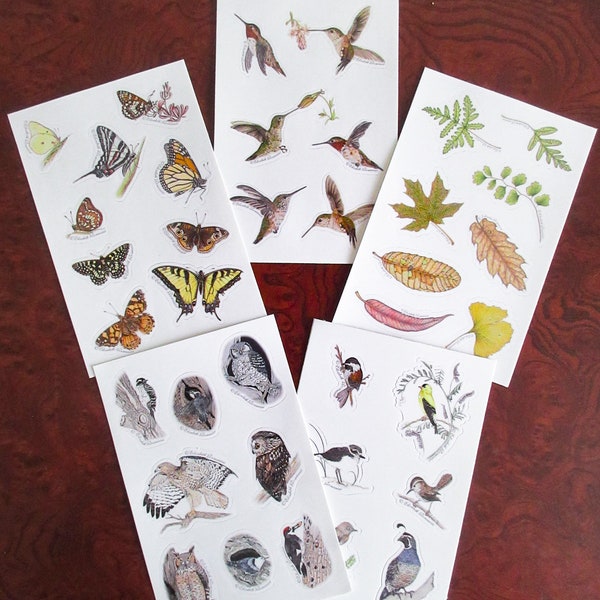 Nature Stickers - Etsy