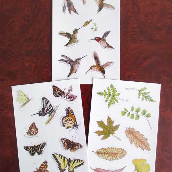 Nature Stickers - Etsy