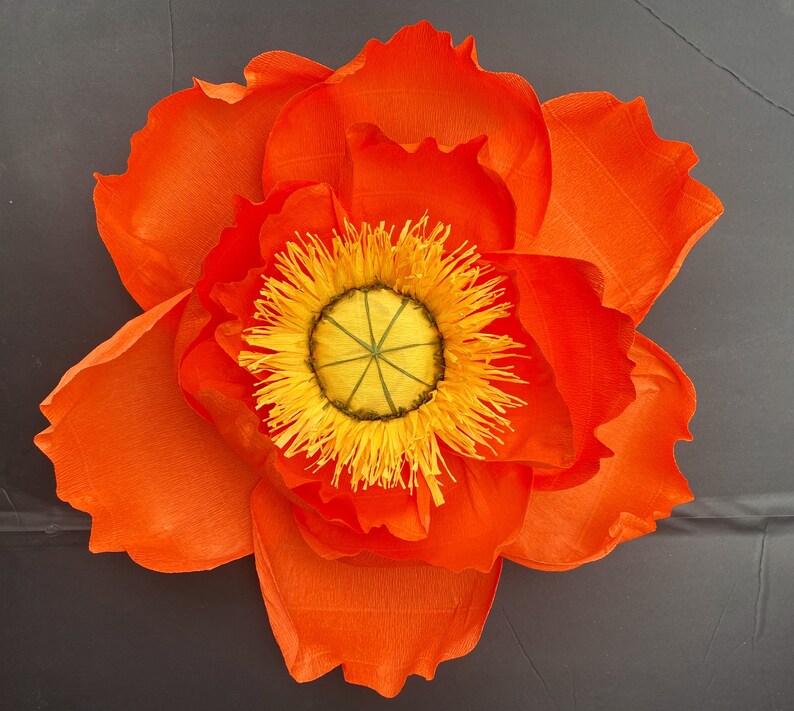 California poppy paper flower Alice in Wondeeland party | Etsy