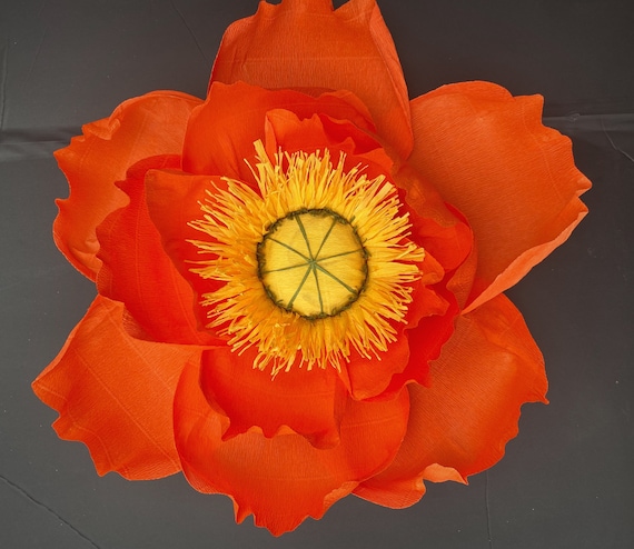 California poppy paper flower Alice in Wondeeland party | Etsy