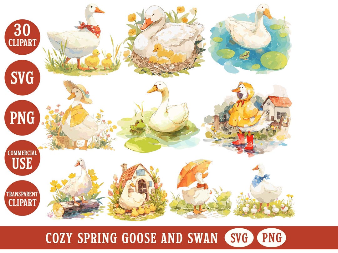 Watercolor Spring Goose Clipart Beautiful Swan PNG Bundle Floral Spring ...