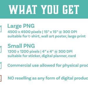 Cute Capybara Clipart Kawaii Capybara PNG Bundle Set Daily Life ...