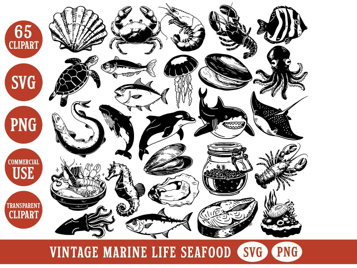 Vintage Seafood Clipart Marine Life SVG Ocean Animals PNG Hand-drawn ...