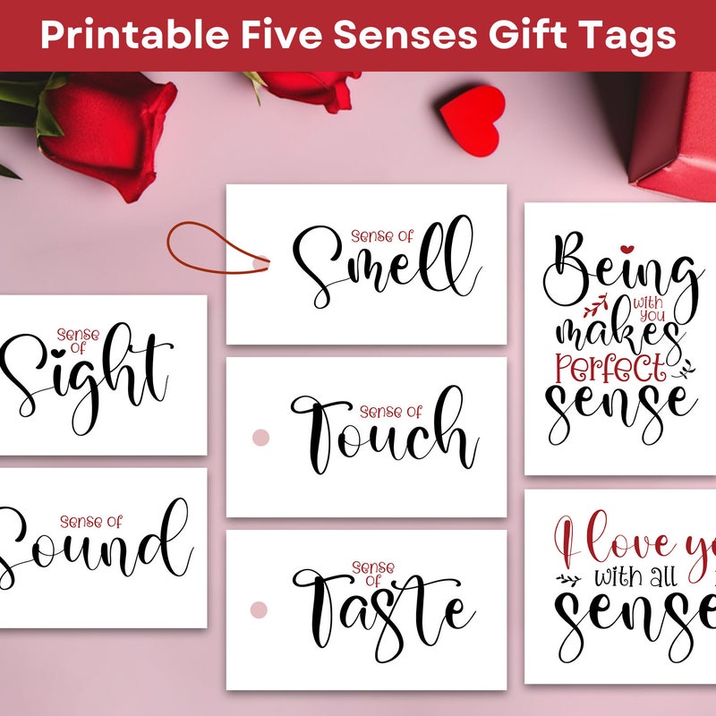 5 Senses Gift Bags - 60+ Gift Ideas for 2026