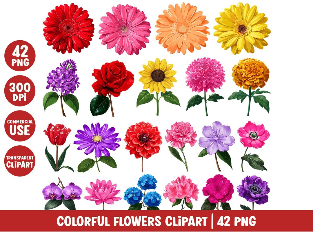 Flower Petal PNG Floral Clipart Bundle Wildflower Watercolor ...