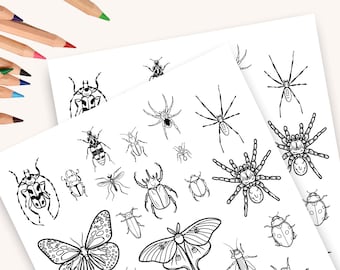 Beetles Coloring Pages, 8 Printable Sheets, Insects, Nature Study ...