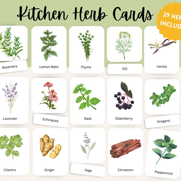 Insect Flash Cards Montessori or Charlotte Mason Nature Study Printable ...