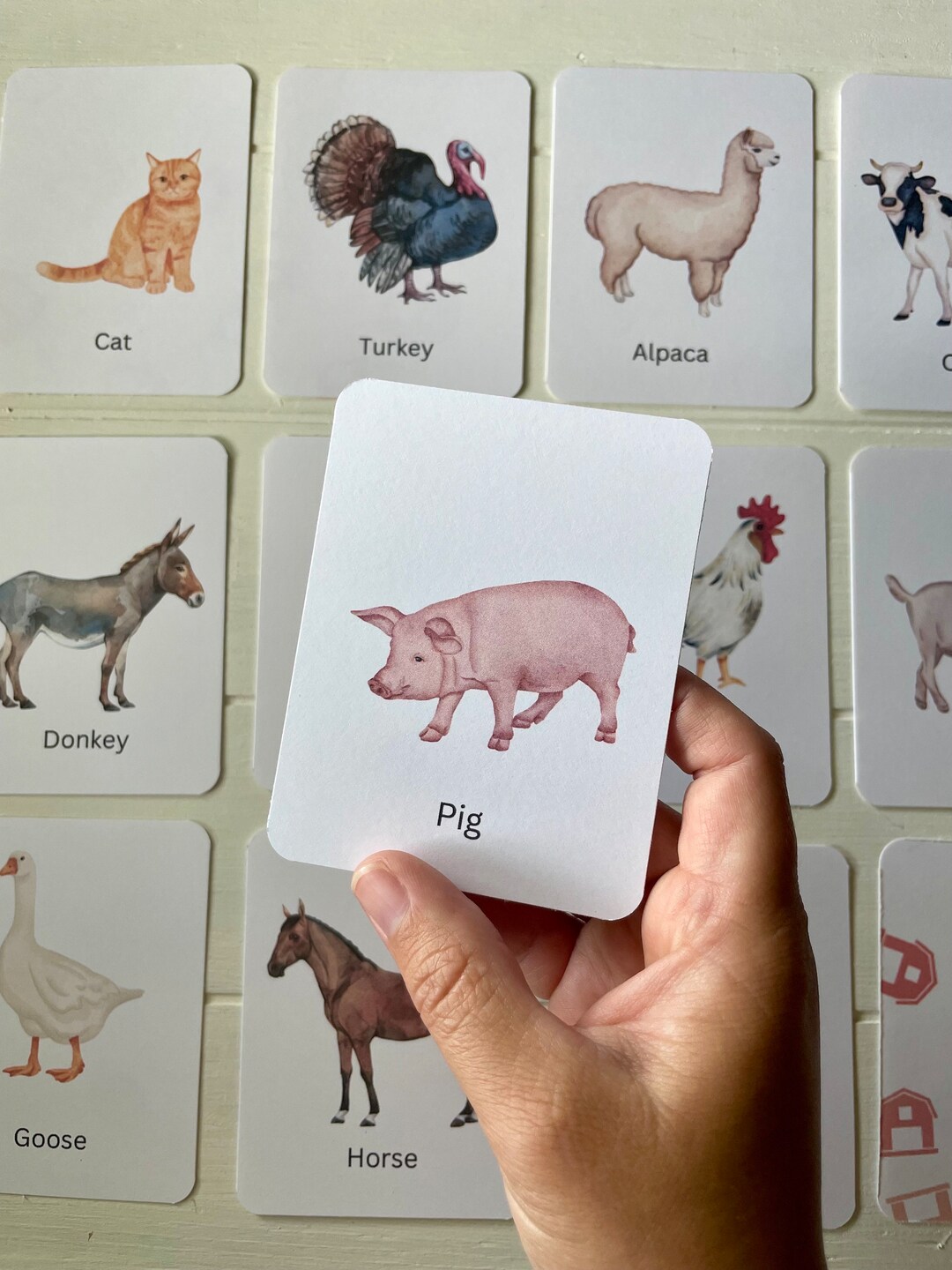 Farm Animal Flash Cards Homeschool Printable, Digital Download ...