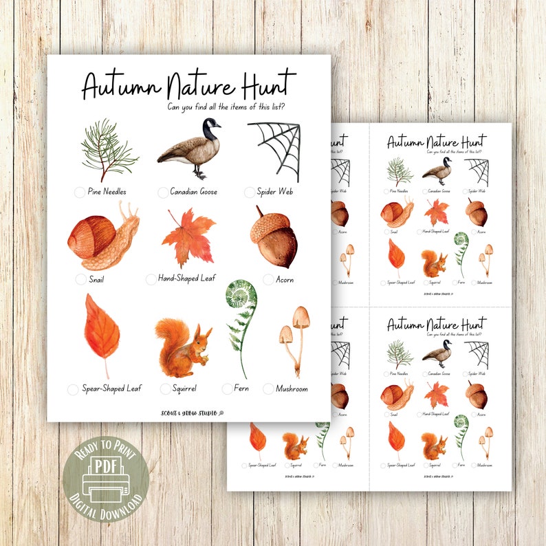 AUTUMN Nature Scavenger Hunt, Printable PDF, Nature Study, Instant ...